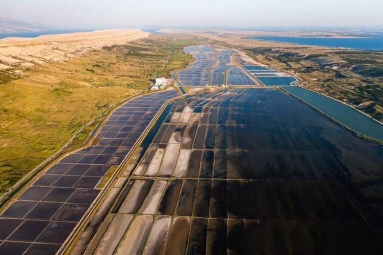 Biggest Solar Farm In Australia A Guide To Scale